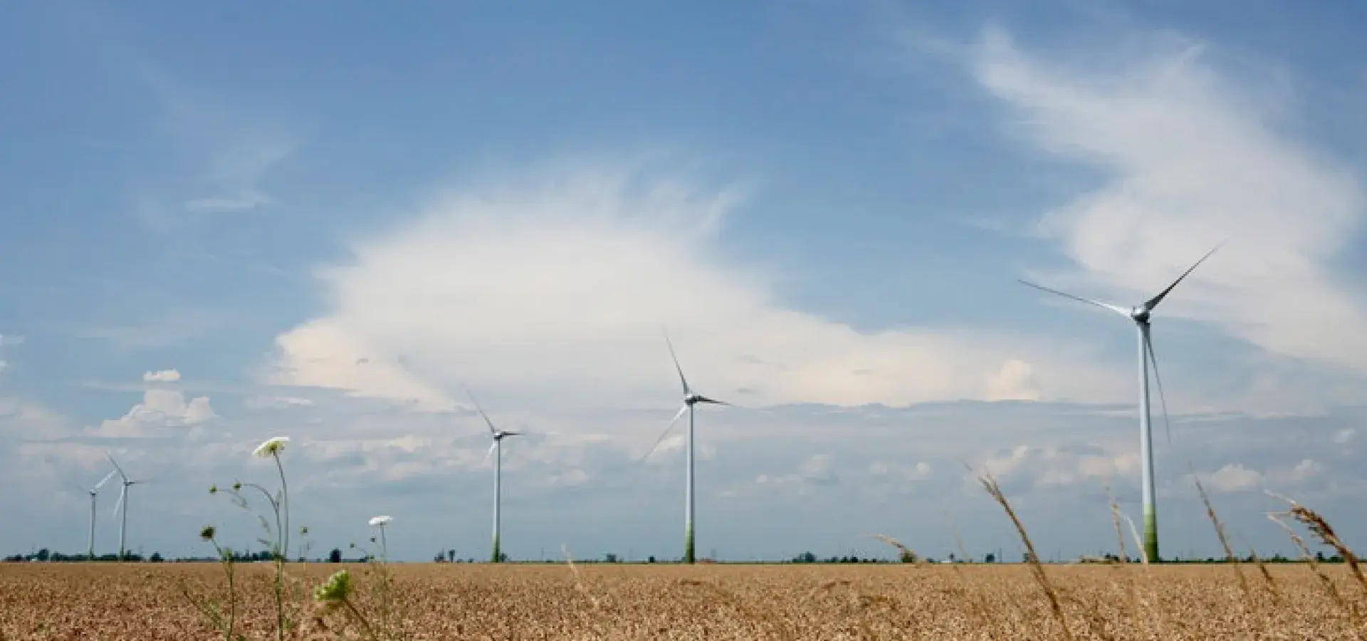 Thames River, Wind Farm in Canada | Boralex
